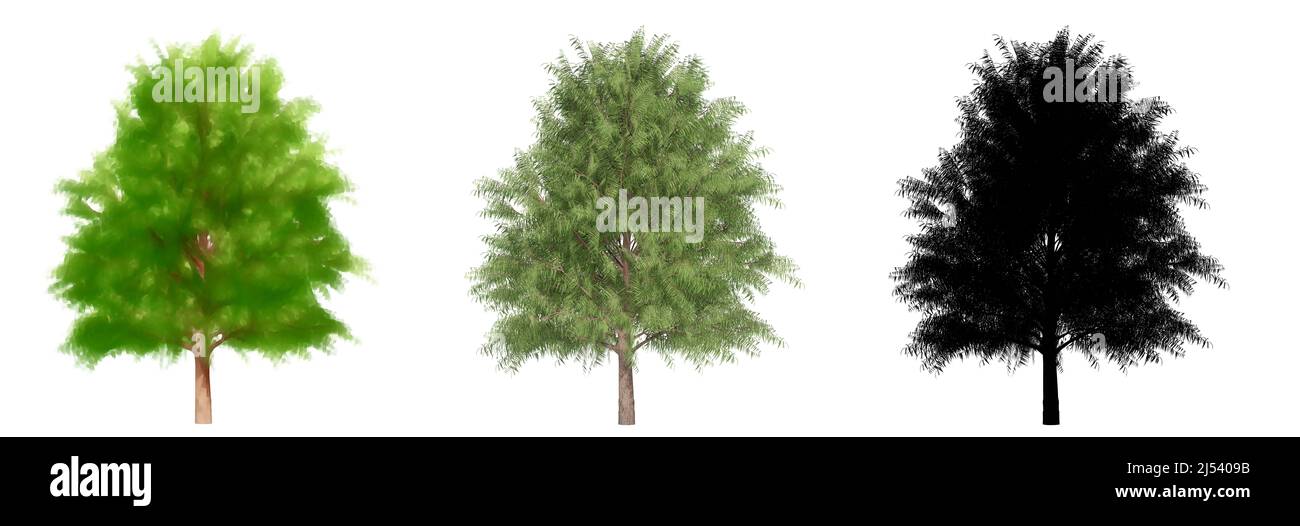 Natural australian environment Cut Out Stock Images & Pictures - Alamy