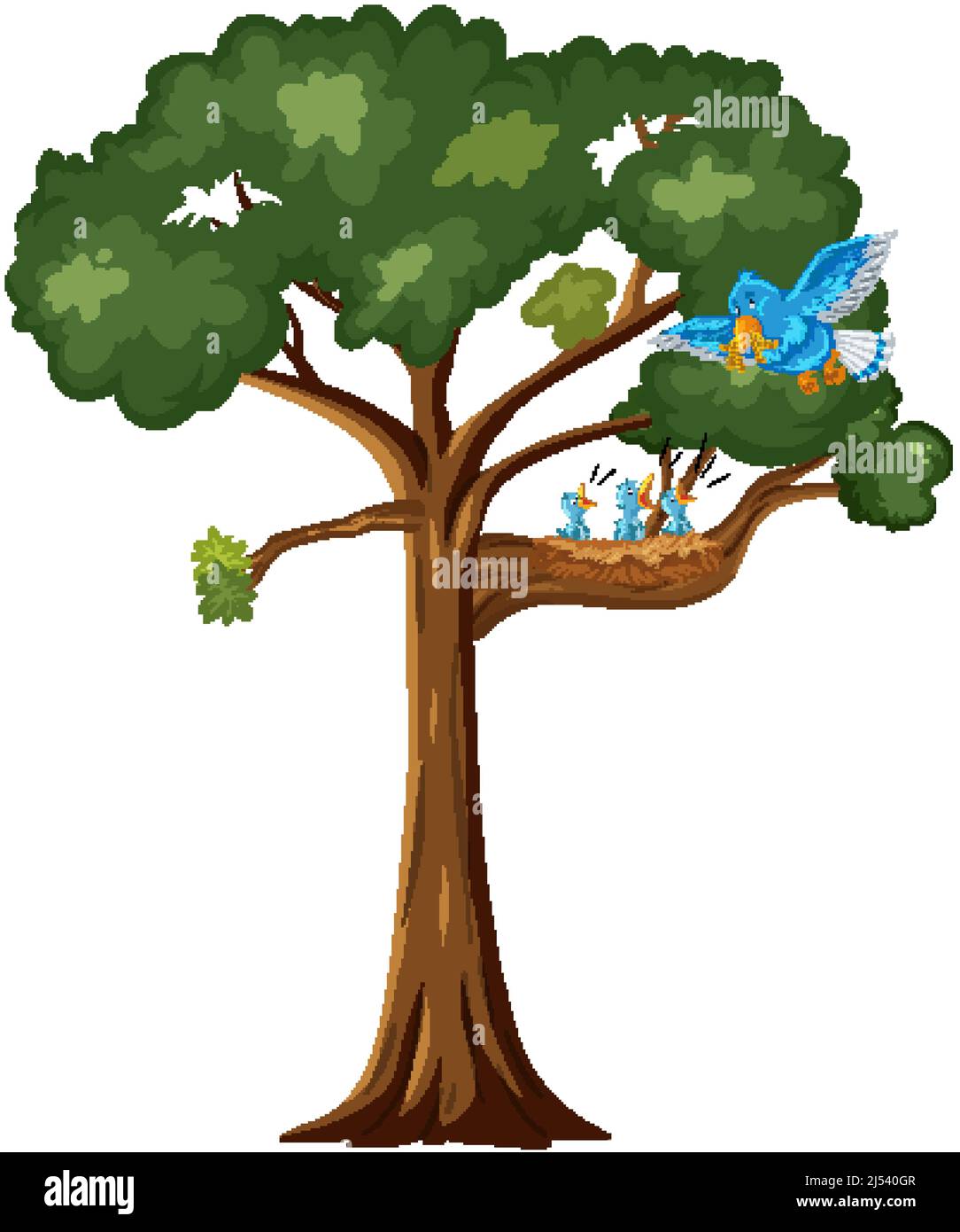 On nest with chicks Cut Out Stock Images & Pictures - Alamy