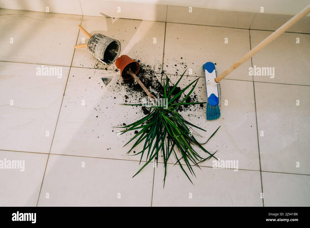 Broken flower pot on the floor with spilled soil and damaged plant ...