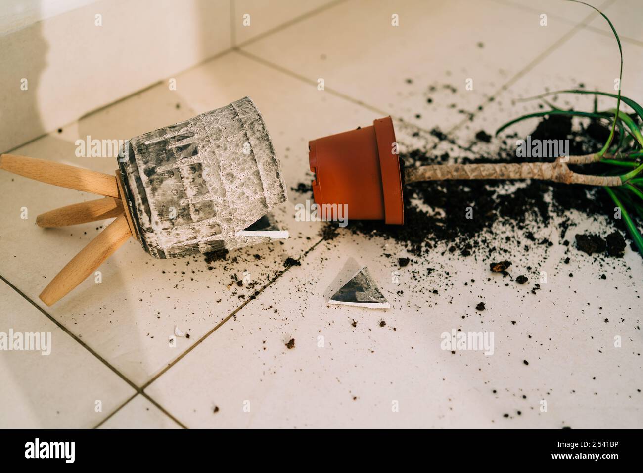 Broken flower pot on the floor with spilled soil and damaged plant ...