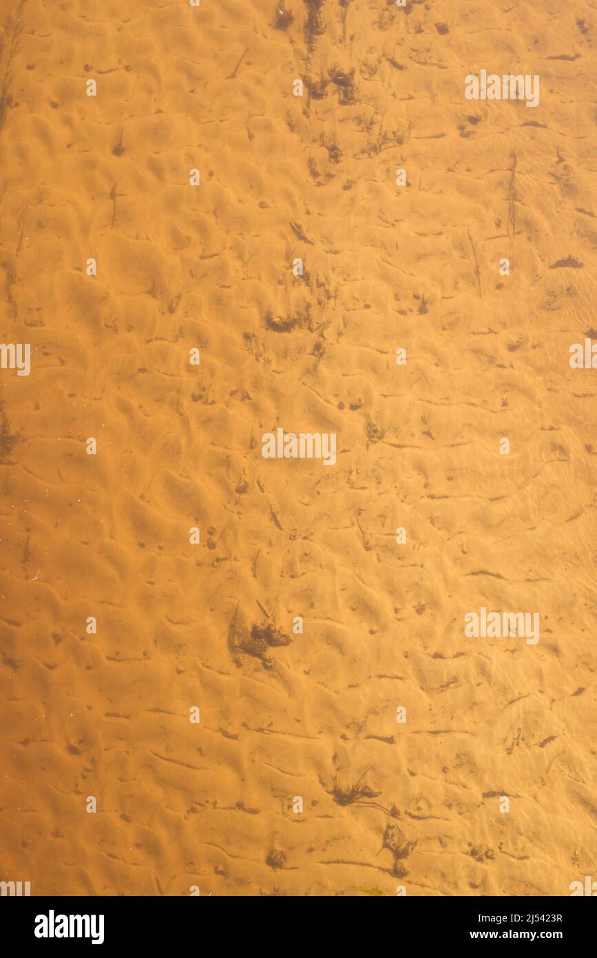 yellow sand is visible through the clear water of the river in the sun ...