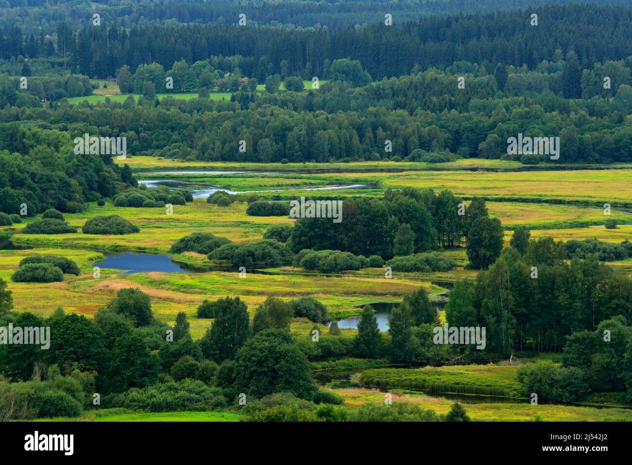 Typical landscape around Vltava river near Lipno reservoir, Sumava ...