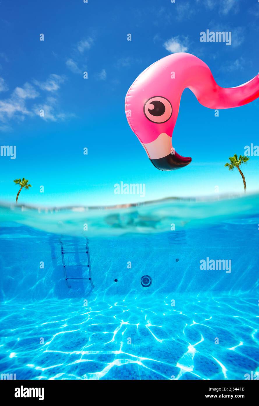 Curious inflatable flamingo and pool underwater split photo Stock Photo ...