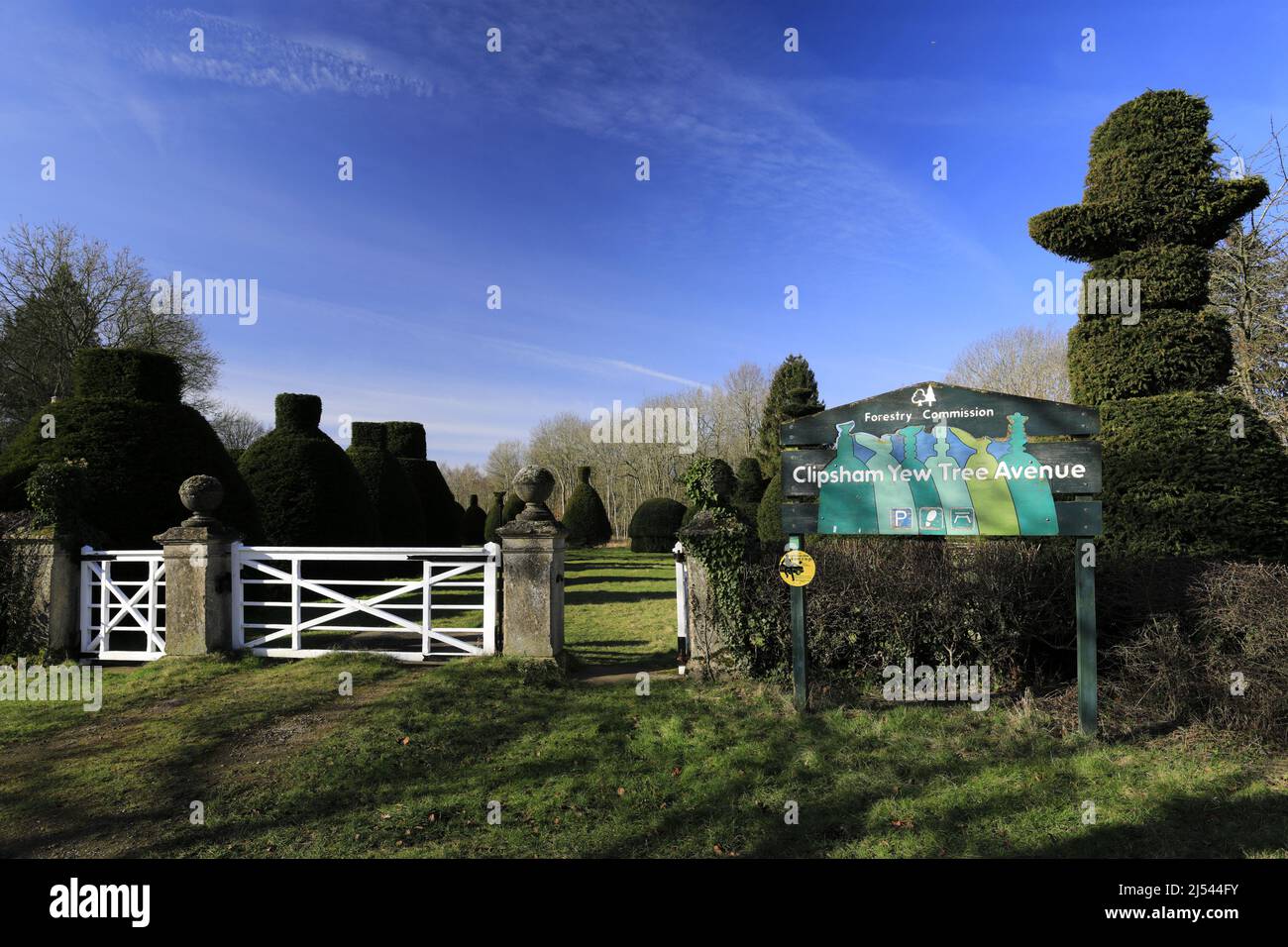 The Yew Tree avenue at Clipsham village; Rutland; England; UK Stock ...