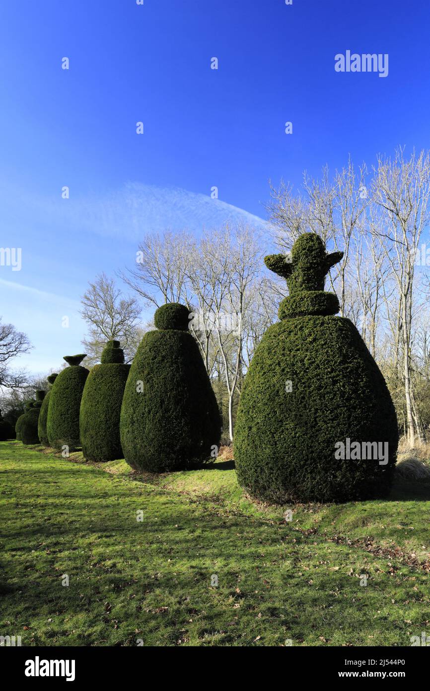 The Yew Tree avenue at Clipsham village; Rutland; England; UK Stock ...