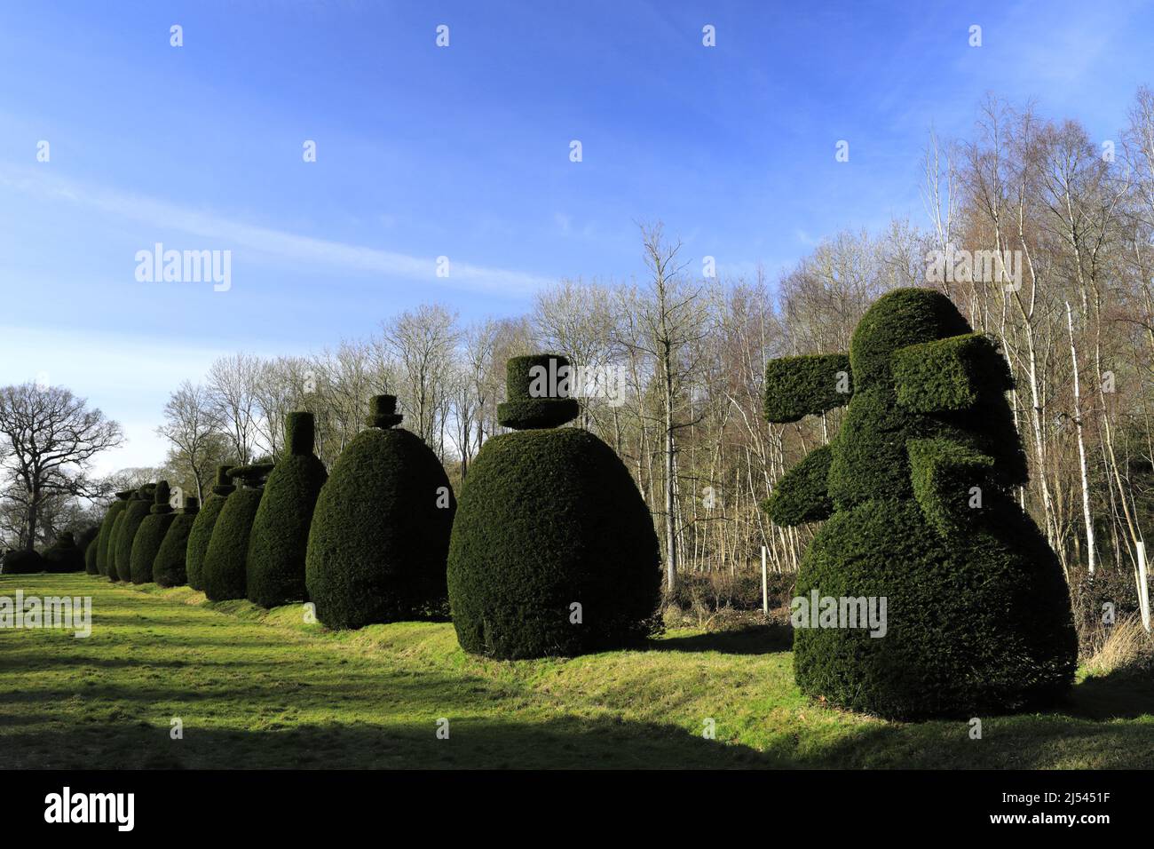 The Yew Tree avenue at Clipsham village; Rutland; England; UK Stock ...