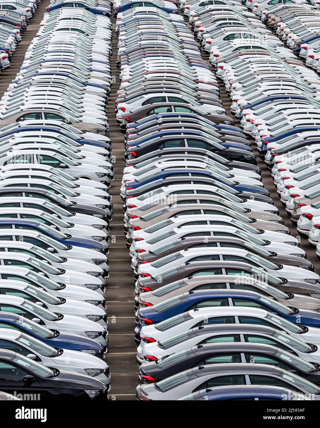 Rows of a new cars parked in a distribution center on a car factory ...
