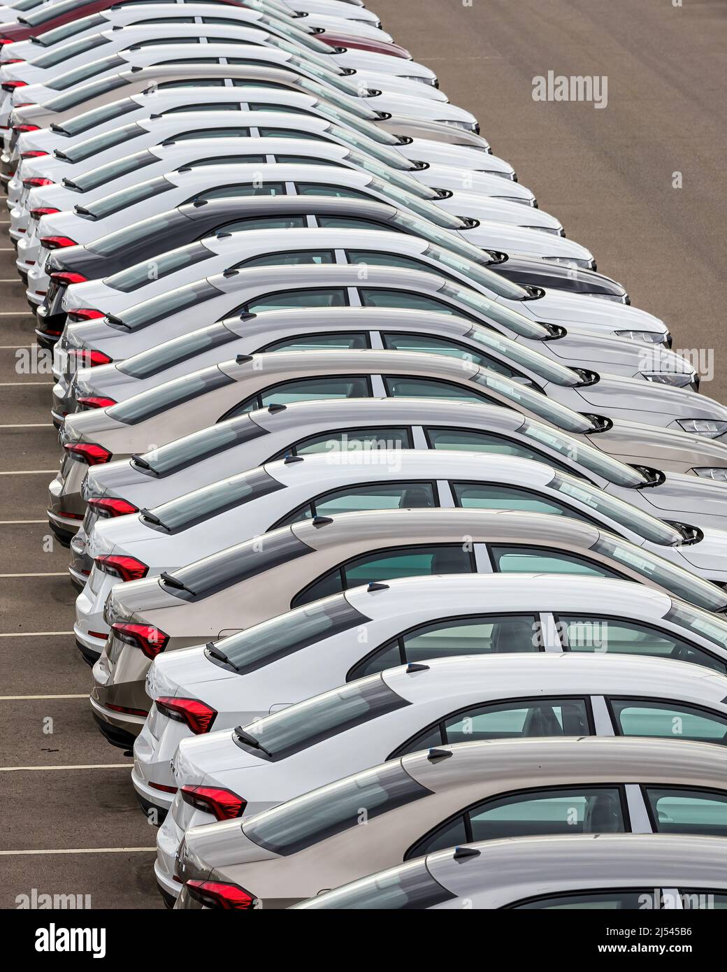 Rows of a new cars parked in a distribution center on a car factory ...