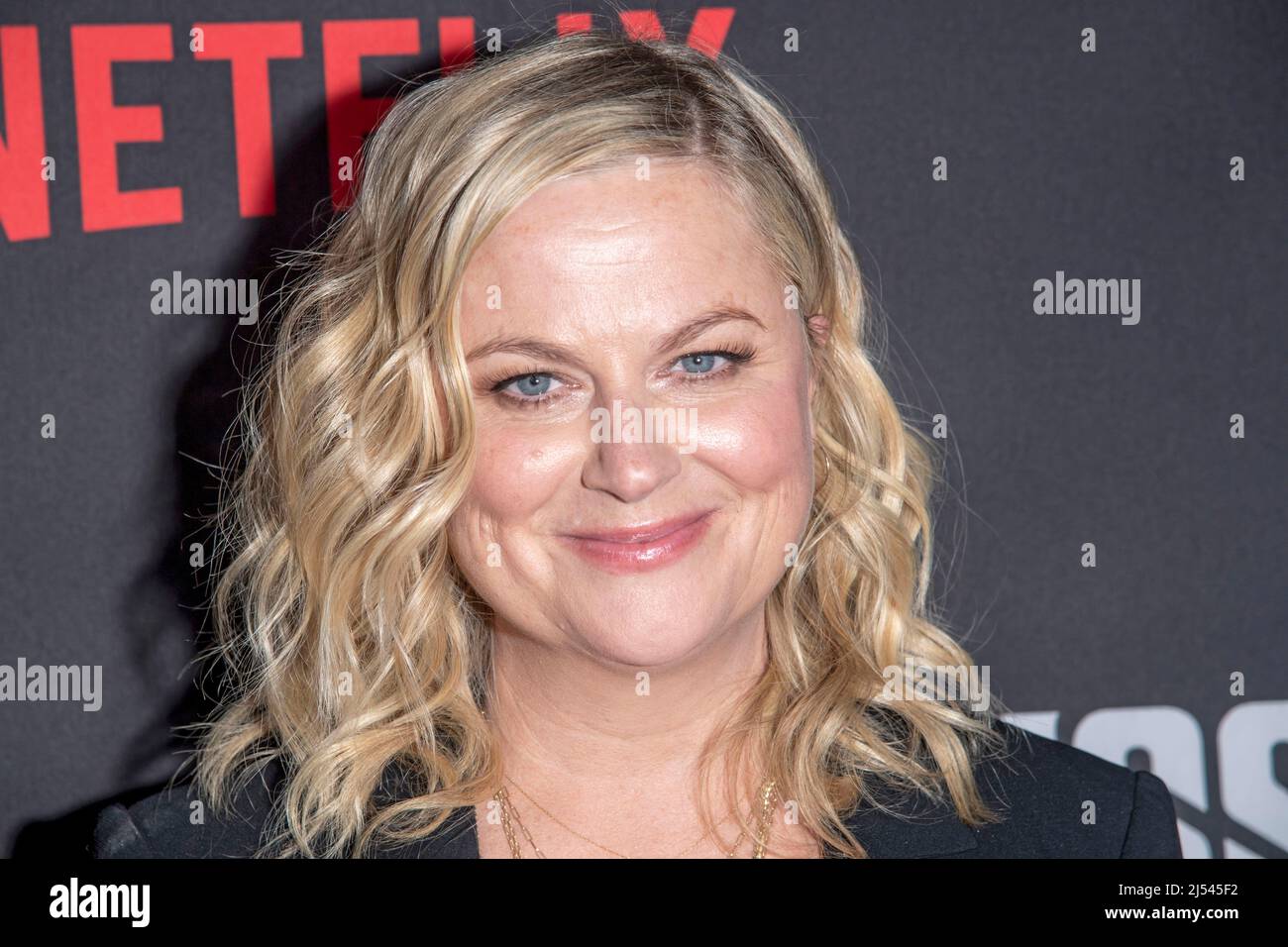 Amy Poehler Commercial Celebrities