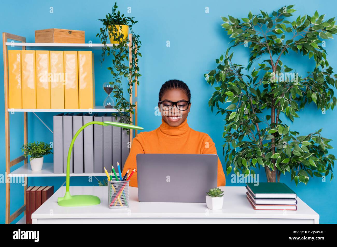 Portrait Of Attractive Cheery Focused Girl Expert Using Laptop Writing