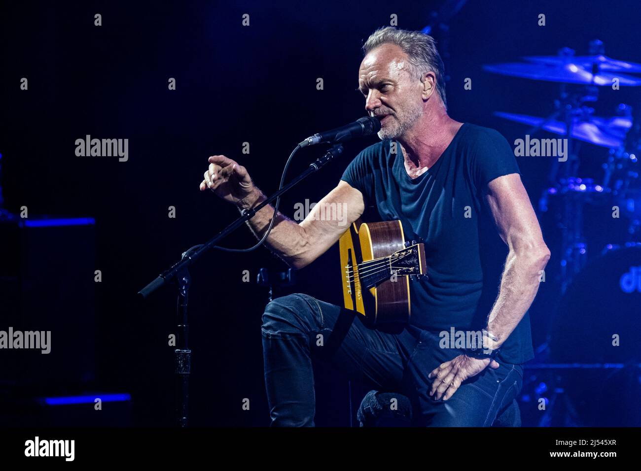 Sting singer hi-res stock photography and images - Alamy