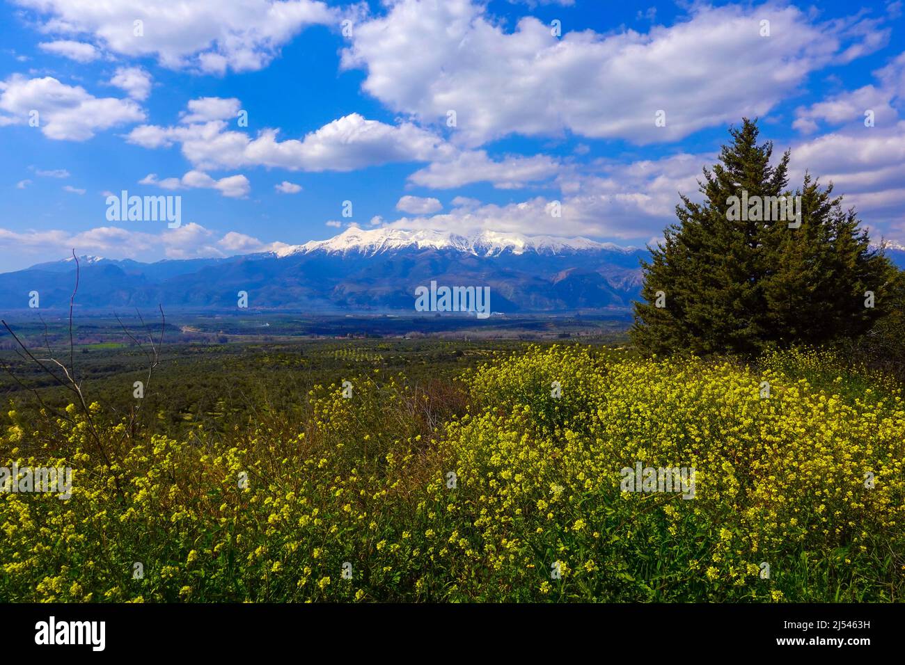 Greek winter forest hi-res stock photography and images - Alamy