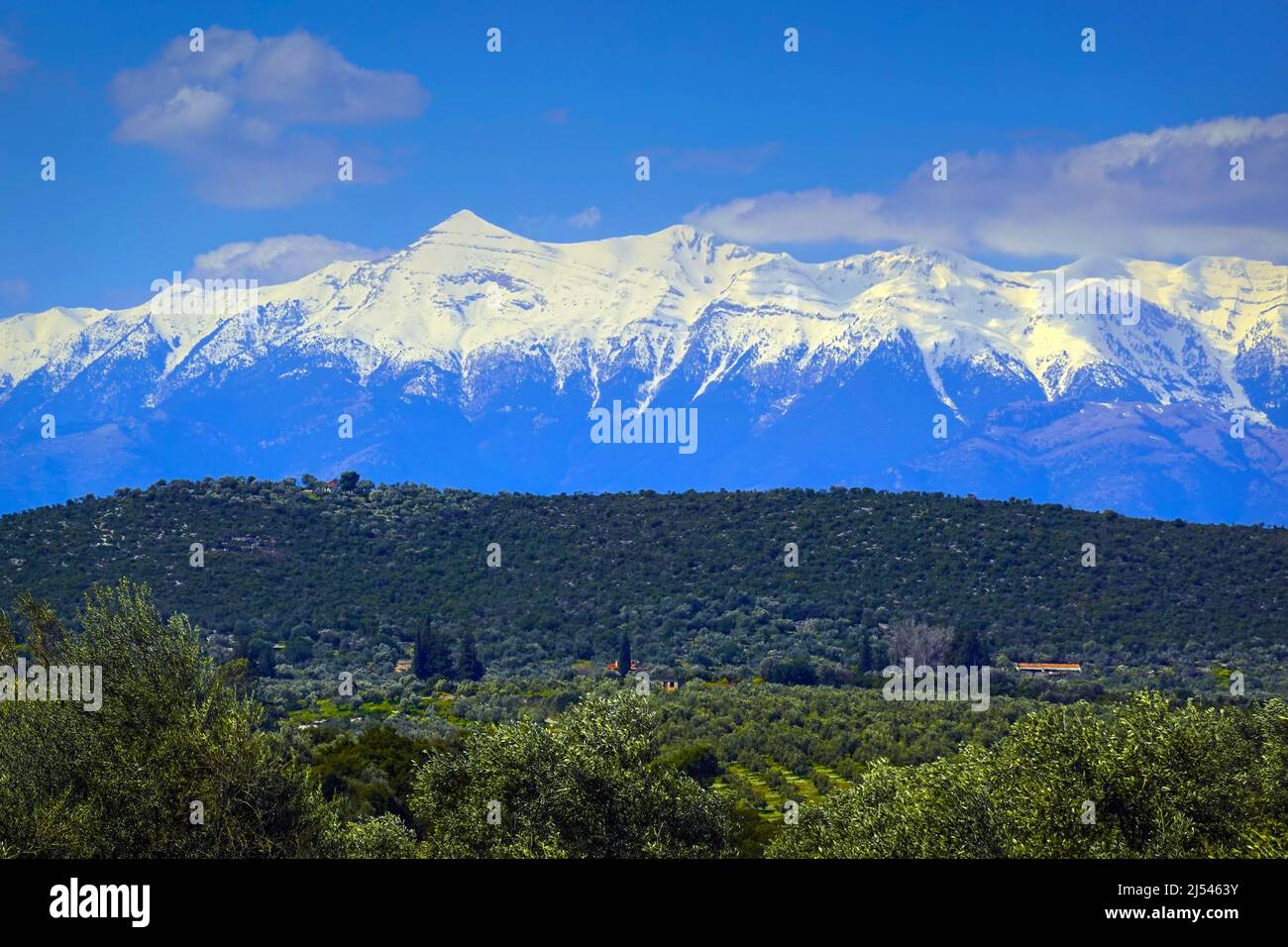 Peloponnese greece forest hi-res stock photography and images - Alamy