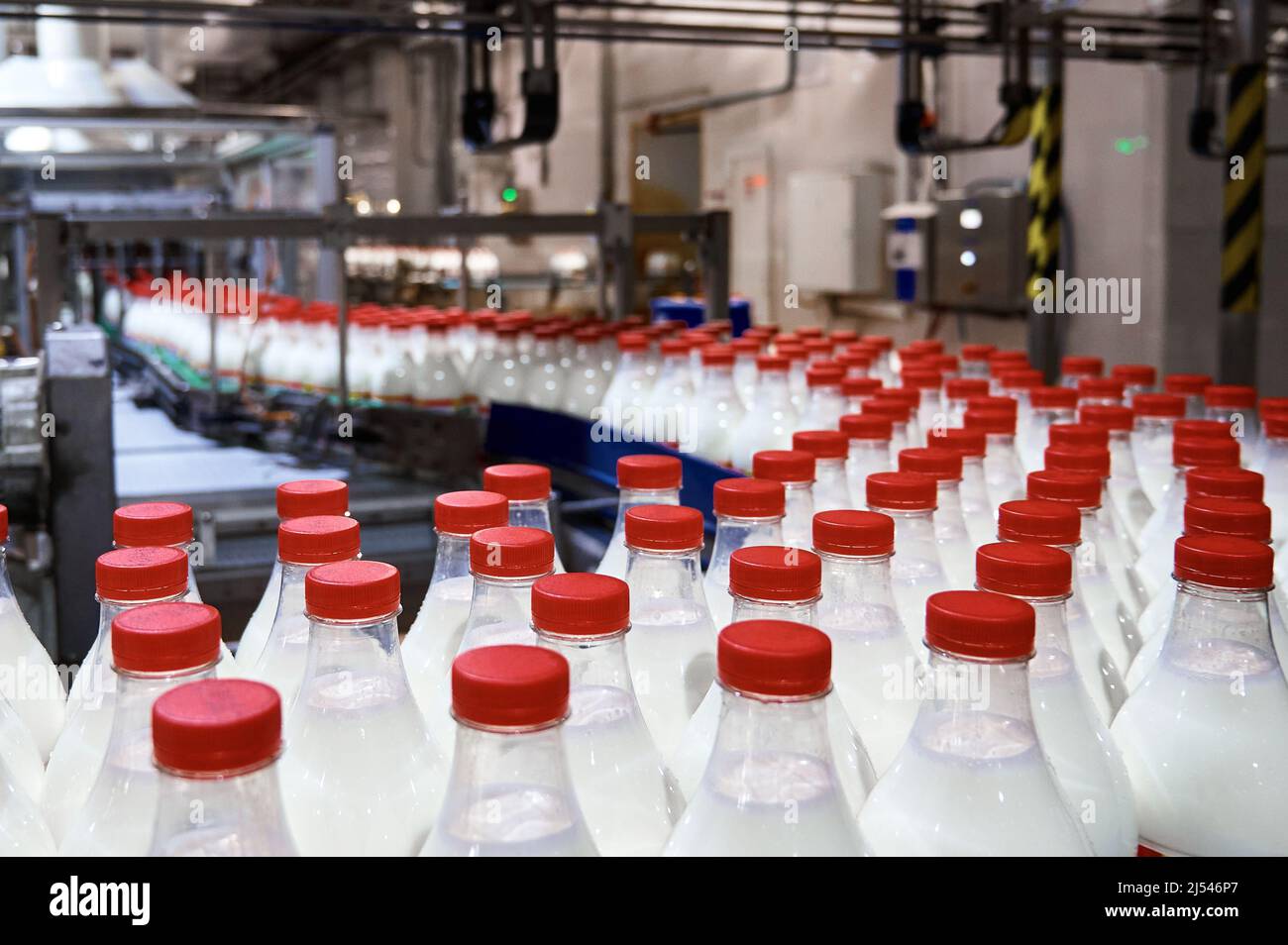 Row of bottles with pasteurized milk on conveyor belt Stock Photo - Alamy