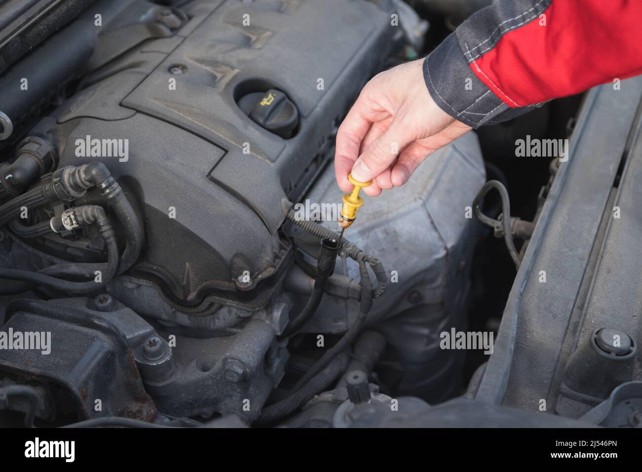 Serviceman takes out a dipstick to check the oil level in the car engine Stock Photo - Alamy