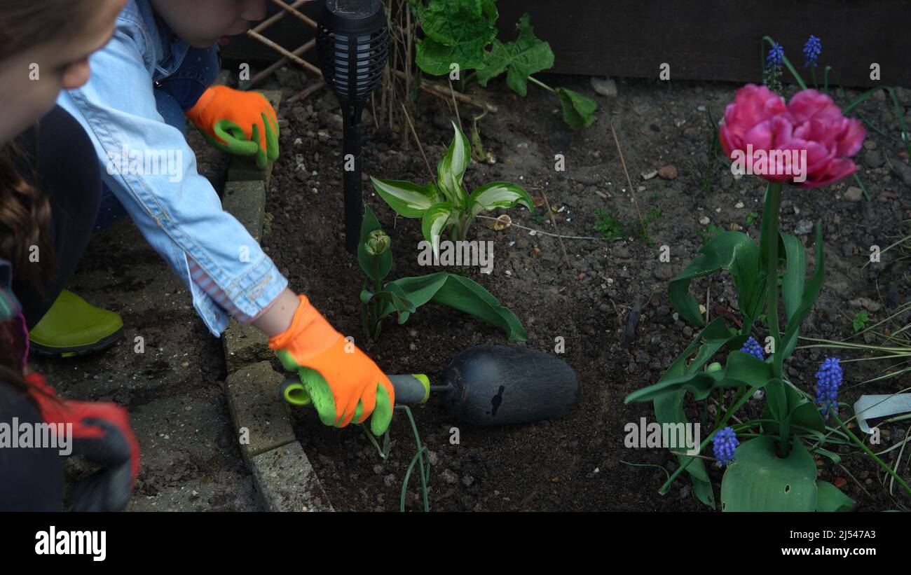 Mother housewife with kids Son Daughter wear works gloves preparing ...