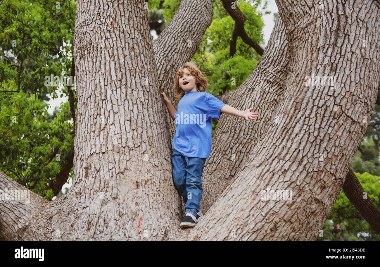 Children kid playing climbing to a tree in a park outdoor Stock Photo ...
