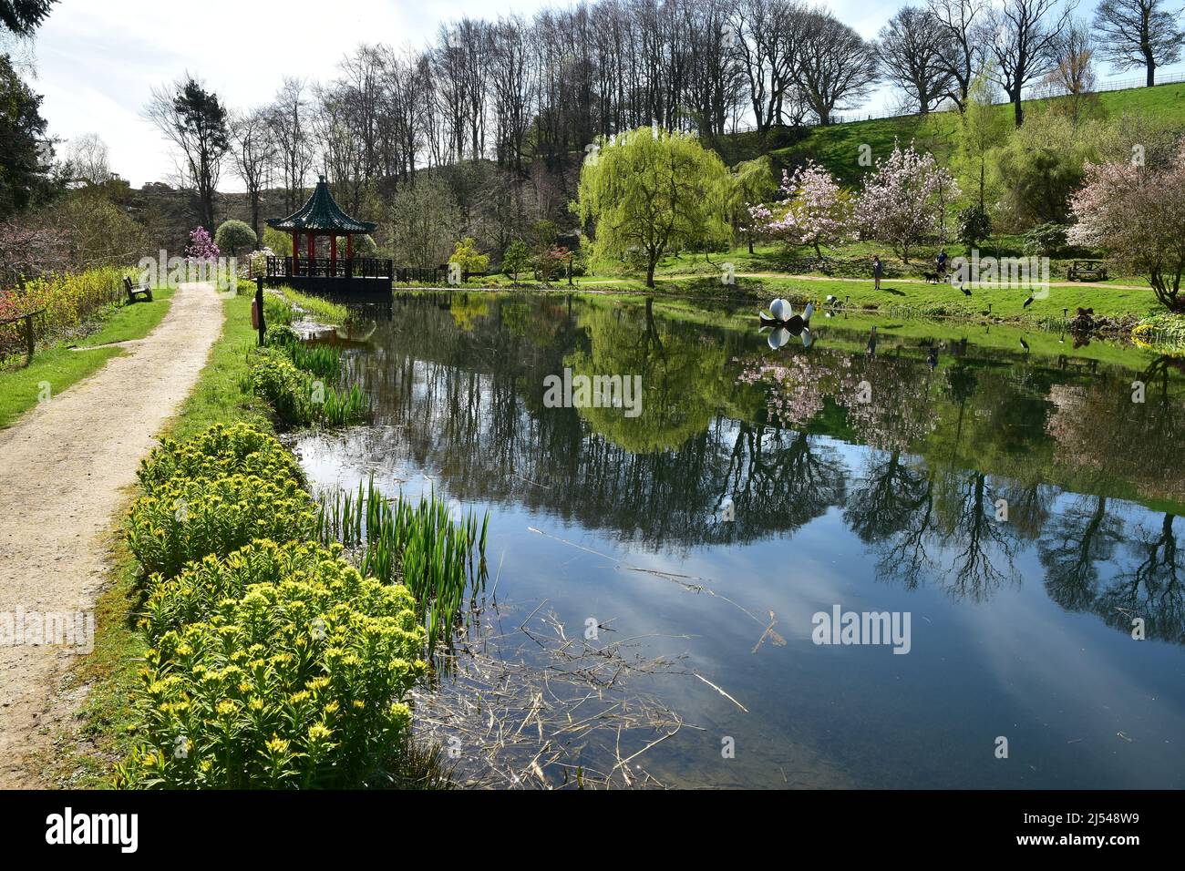 Himalayan Garden and Sculpture Park, Magnolia Lake, Grewelthorpe, Ripon ...