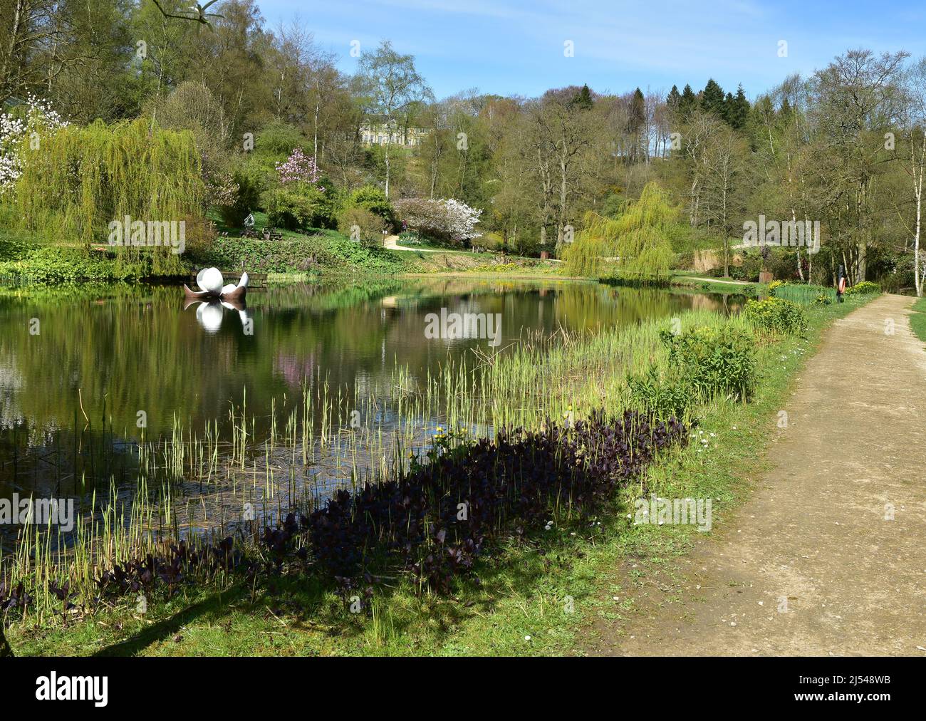 Himalayan Garden and Sculpture Park, Magnolia Lake, Grewelthorpe, Ripon ...