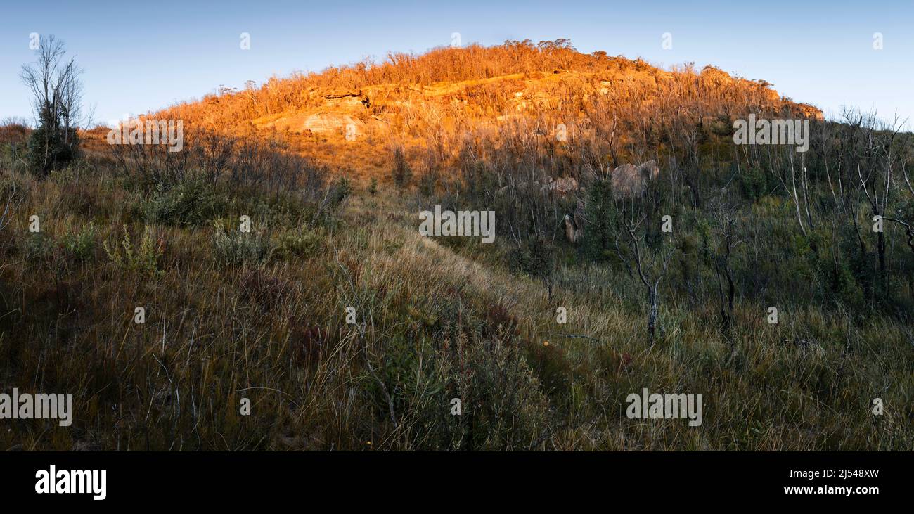 Sun on the peak of Mount Banks in the Blue Mountains Stock Photo - Alamy