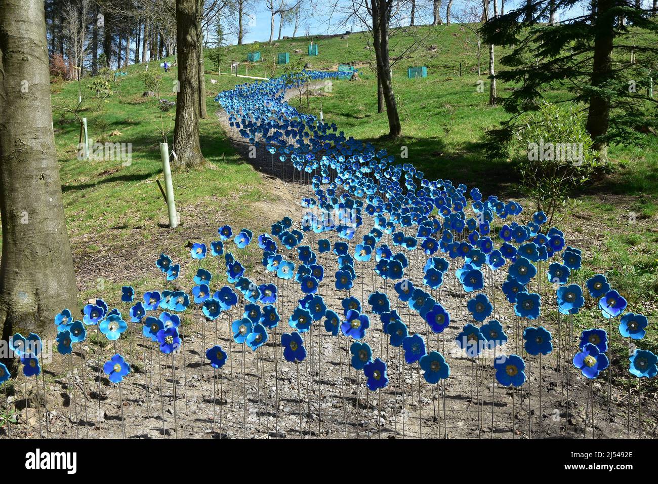 Himalayan Garden and Sculpture Park ,Bursting from the slumber ...