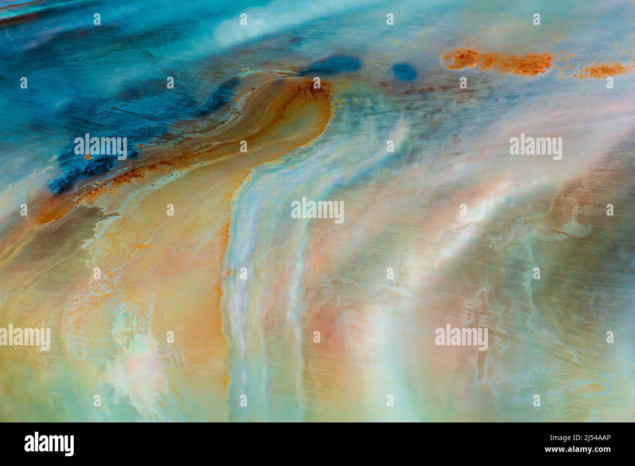 Colored inside pearl shell texture of blue mussel, Mytilus edulis ...