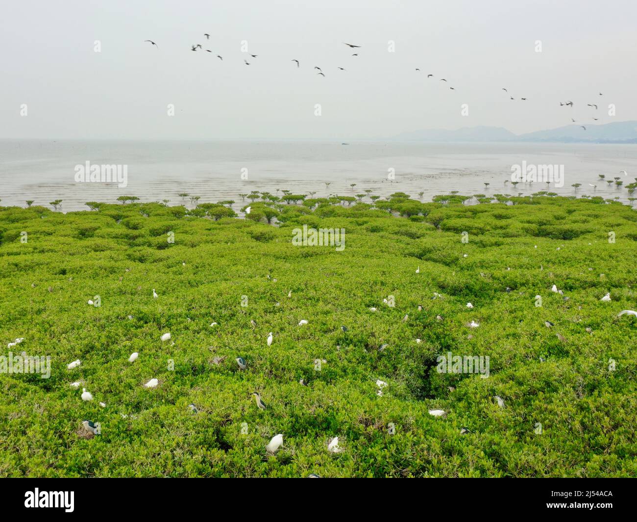 Jiangjing hi-res stock photography and images - Alamy