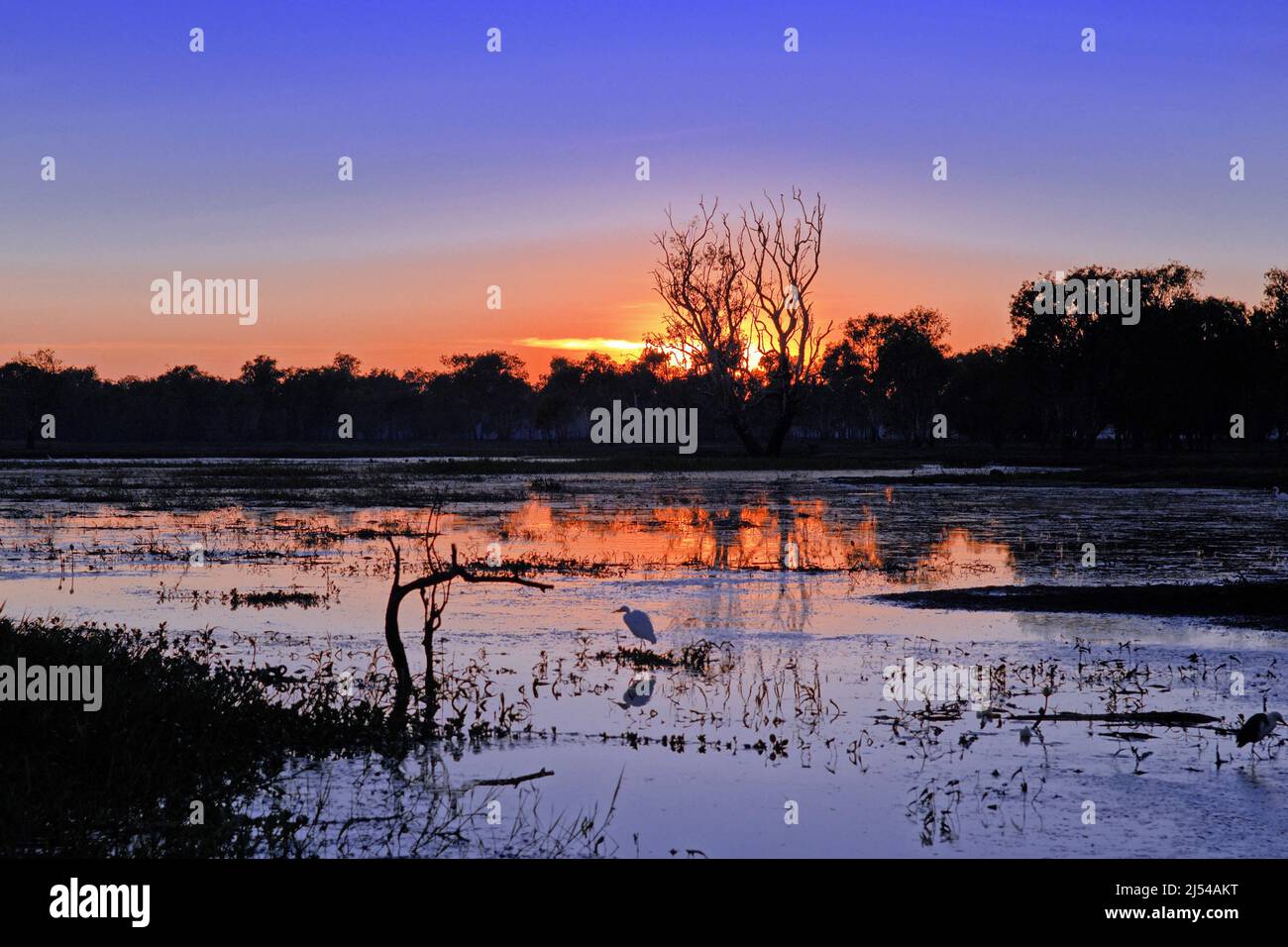 Sunrise over Yellow Waters Lagoon, Australia, Northern Territory ...