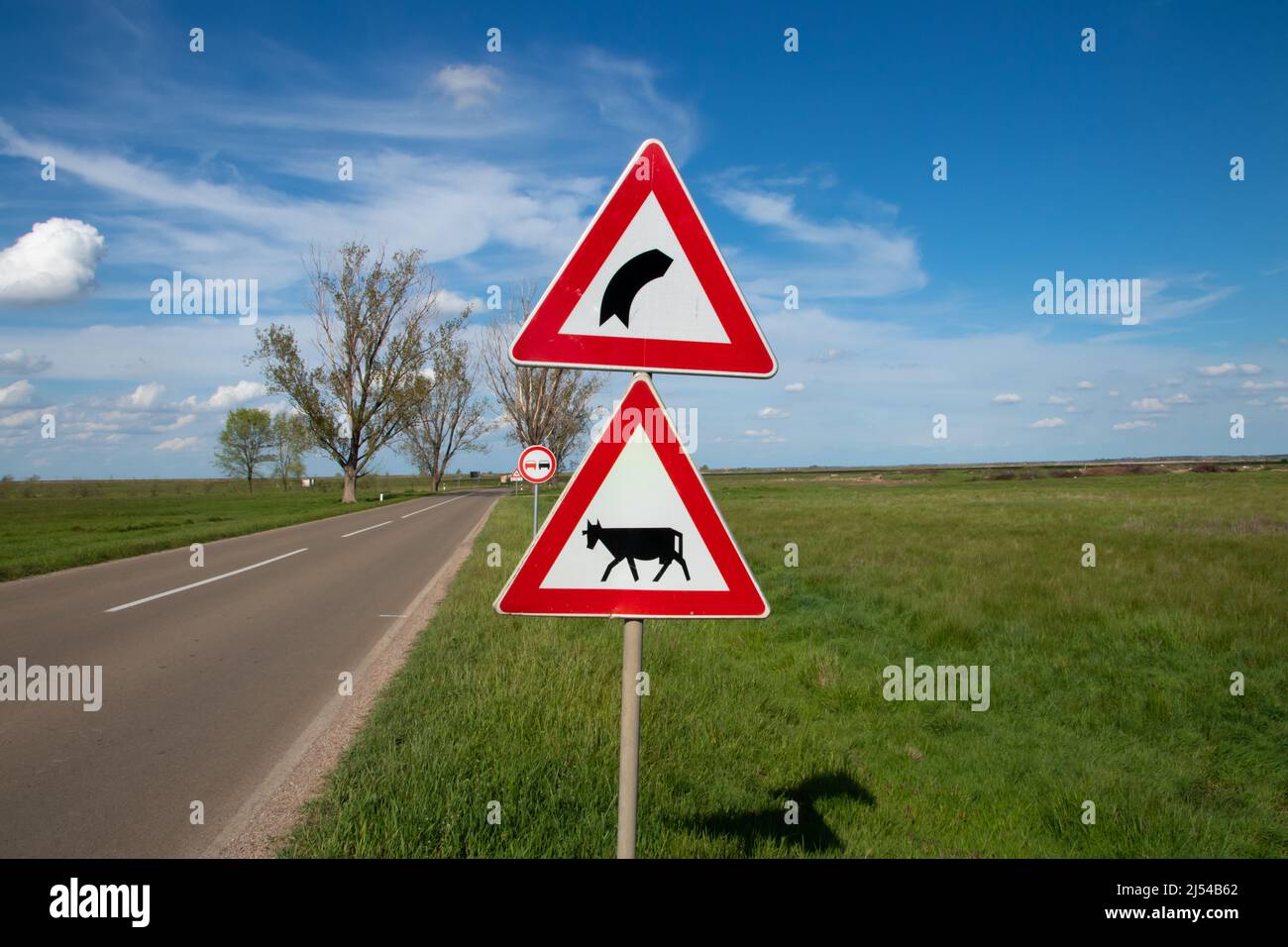 Traffic signs by the road. Cattle crossing red and white triangle sign ...