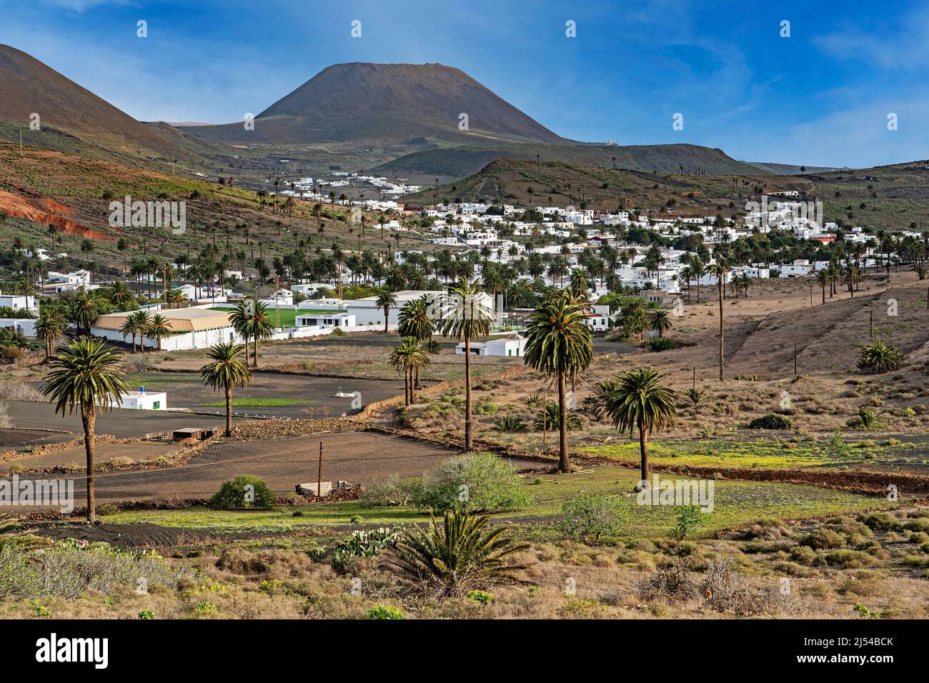 Valley of 1000 palms lanzarote hi-res stock photography and images - Alamy