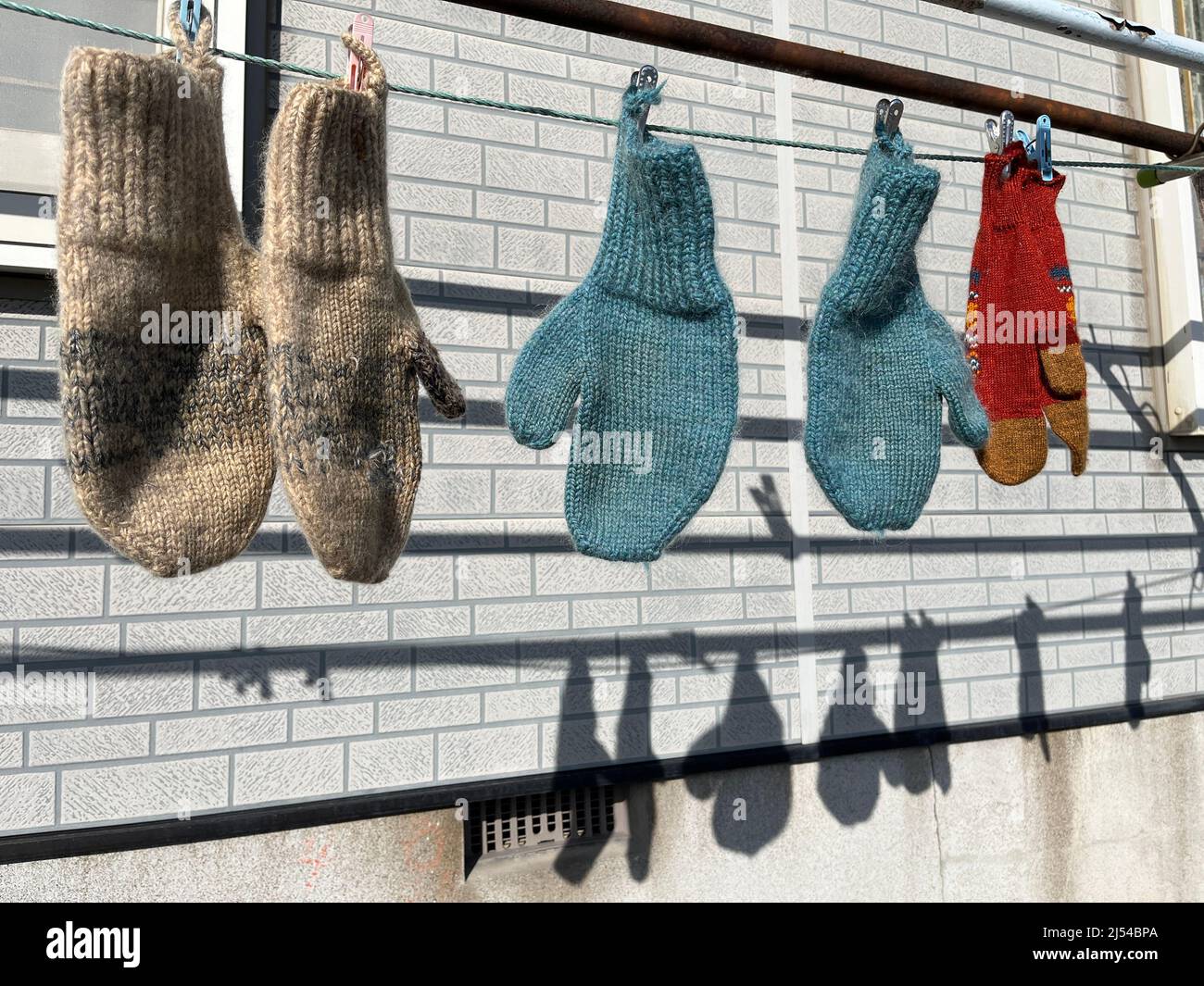 Wool hanging out hi-res stock photography and images - Alamy