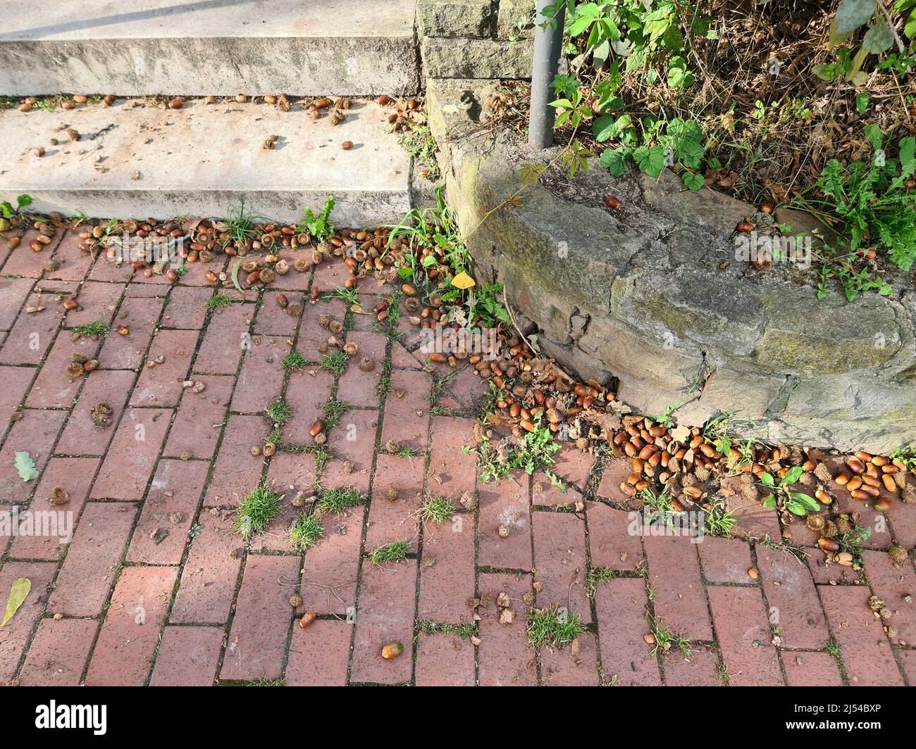 Fall falls falling fallen hi-res stock photography and images - Alamy