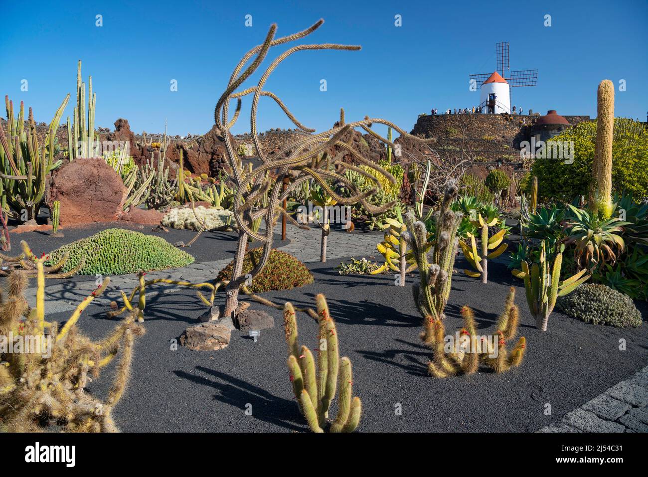 Jardi­n de Cactus, cacti garden Cesar Manrique, Canary Islands ...