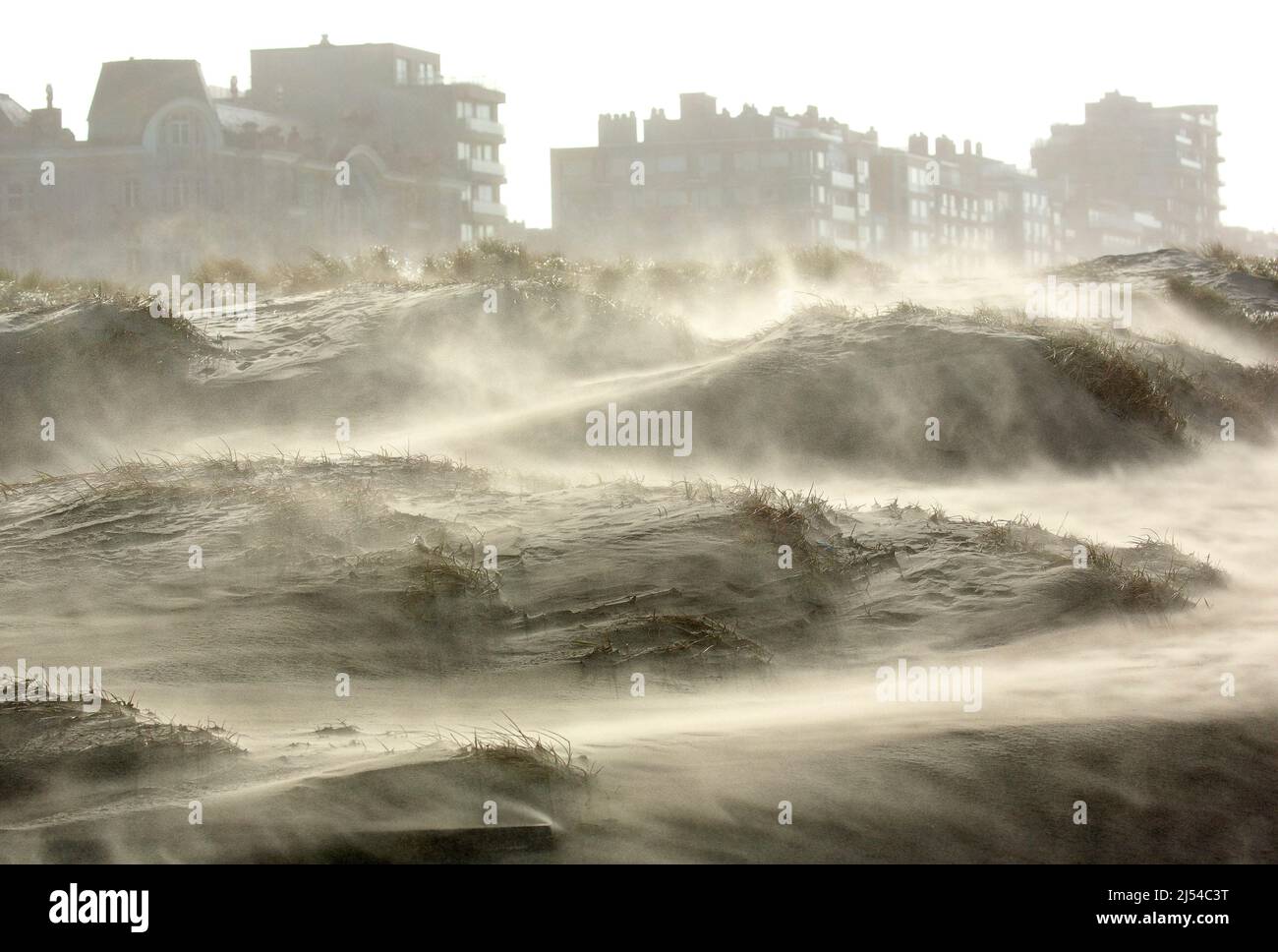 storm on the sandy beach, Hurricane Eunice, Zeynep, 02/18/2022, Belgium ...