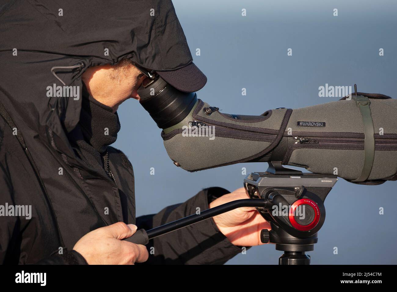 Individual birdwatcher hi-res stock photography and images - Alamy