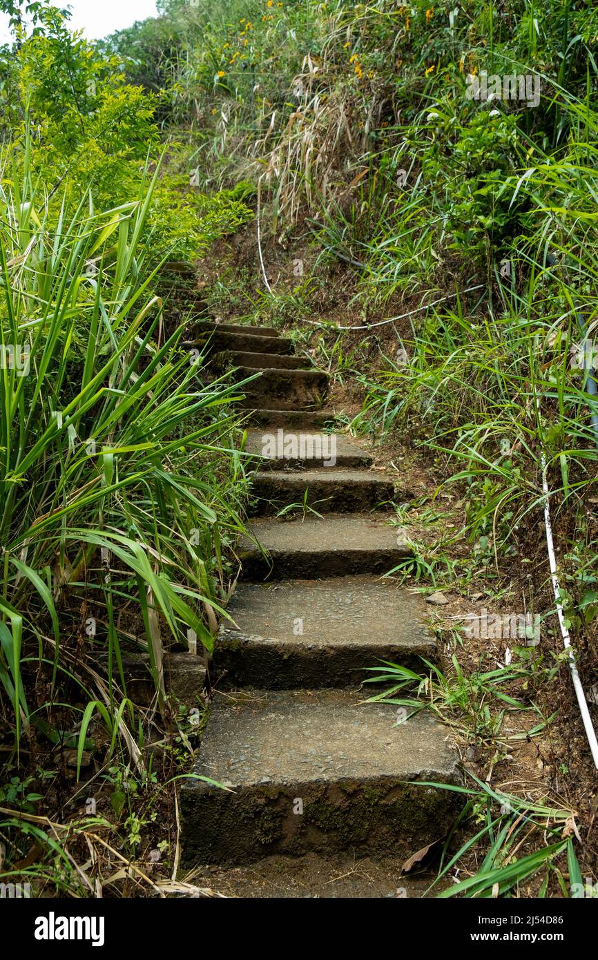 steps on mountains in tropical country Stock Photo - Alamy