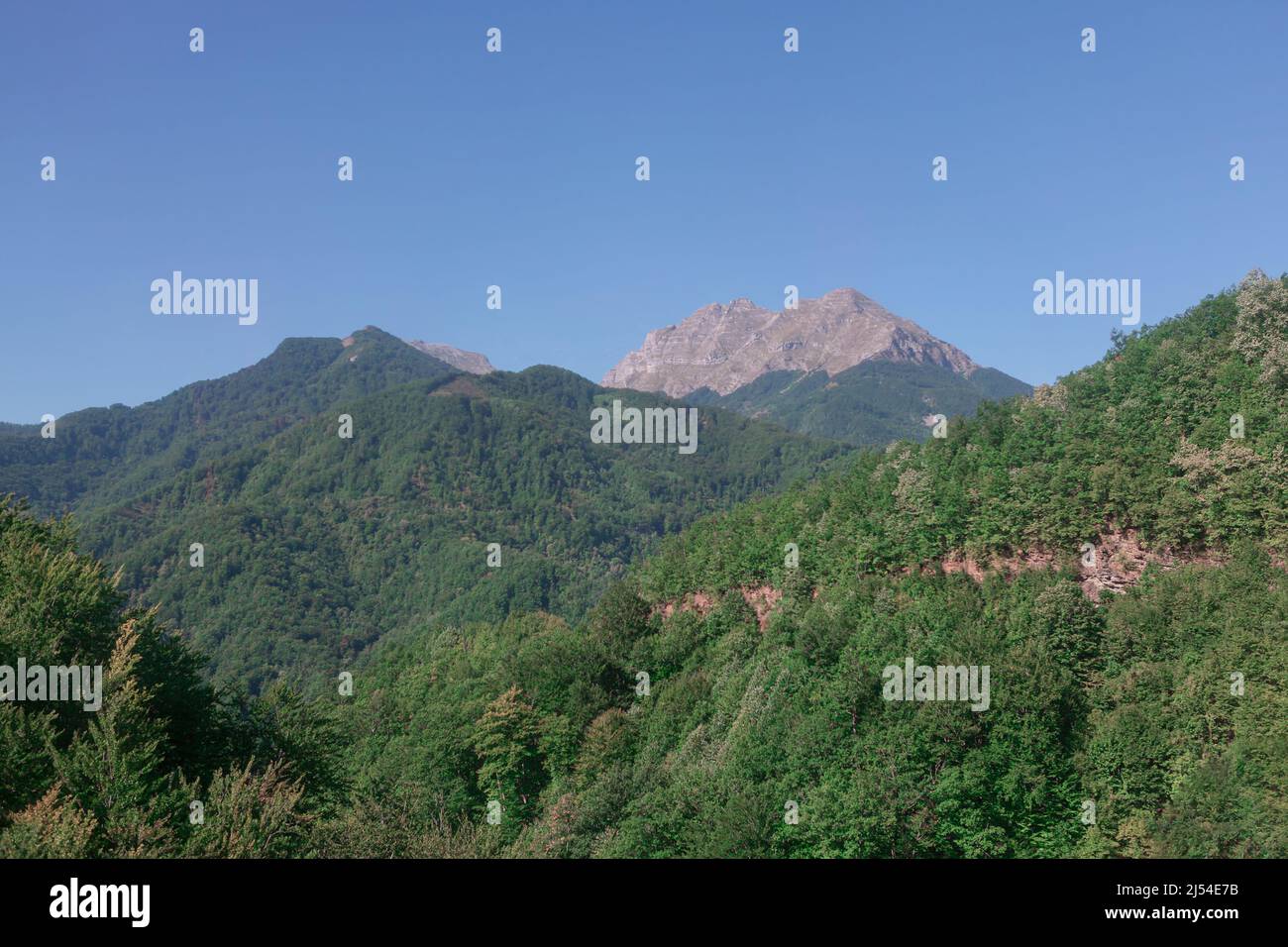 Sutton Mountains scenery . Forest growing on the mountains Stock Photo ...