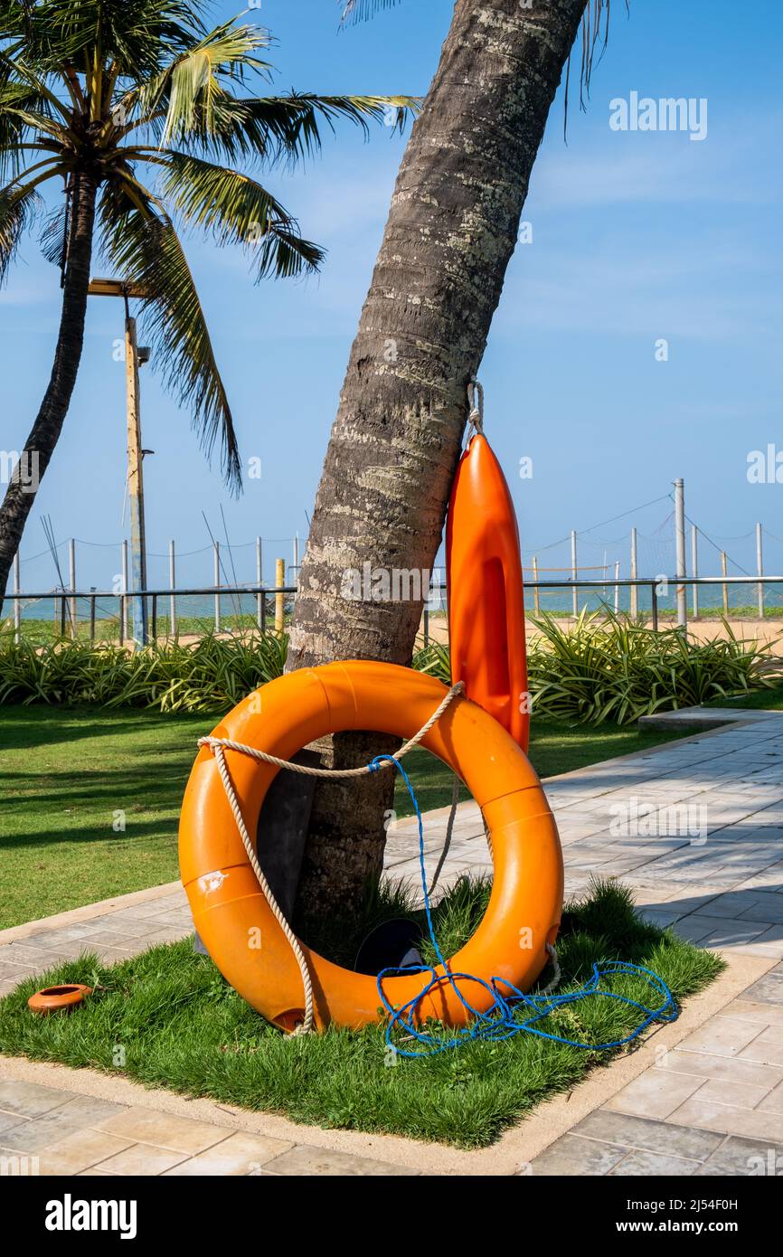 life buoy and circle. Safety for swimmers Stock Photo - Alamy