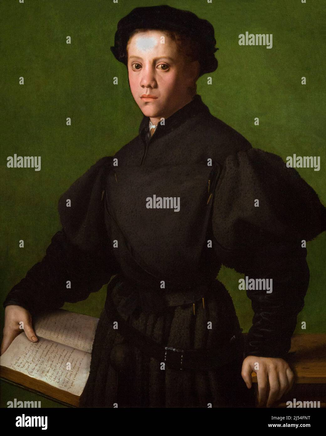 Portrait of Lorenzo Lenzi, Agnolo Bronzino, circa 1527-30, Municipal ...