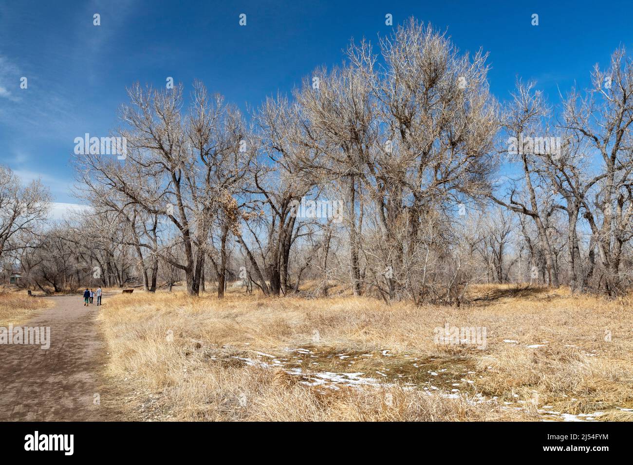 Denver, Colorado - Bluff Lake Nature Center, a nonprofit urban wildlife ...