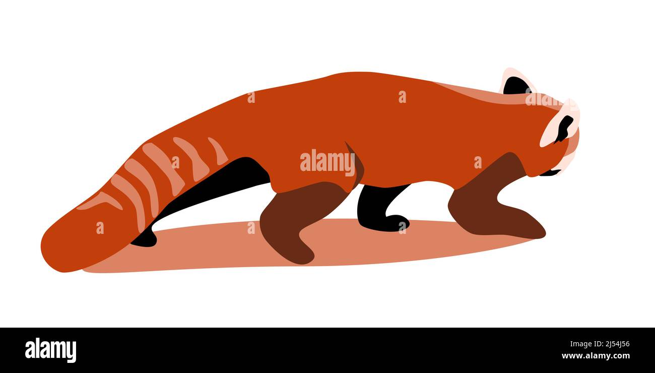 Fluffy tail red panda Cut Out Stock Images & Pictures - Alamy