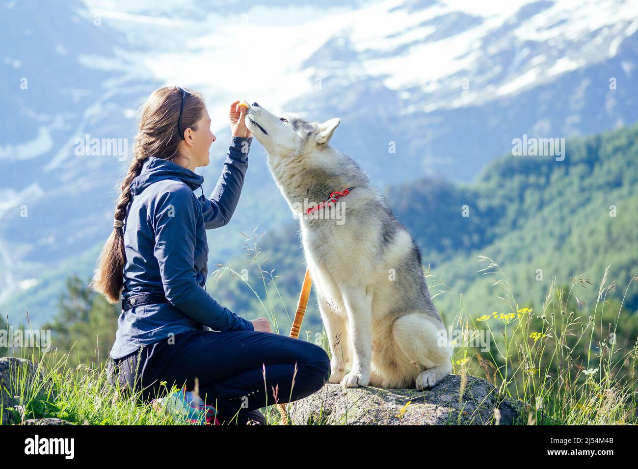 Dog with a woman walking mountains outdoors Stock Photo - Alamy