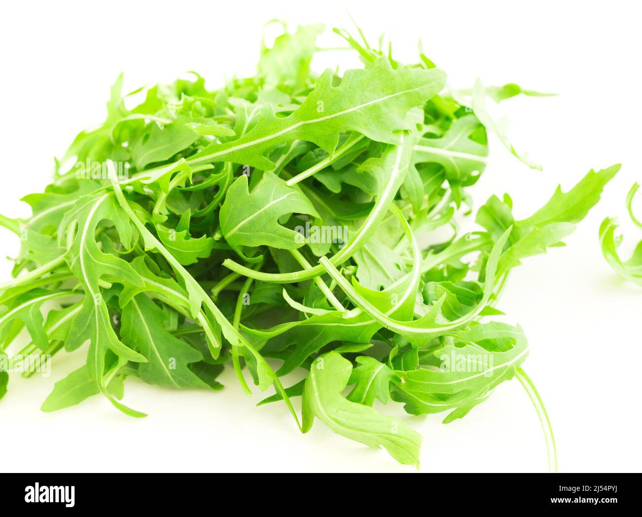 fresh farm arugula on a white background Stock Photo - Alamy