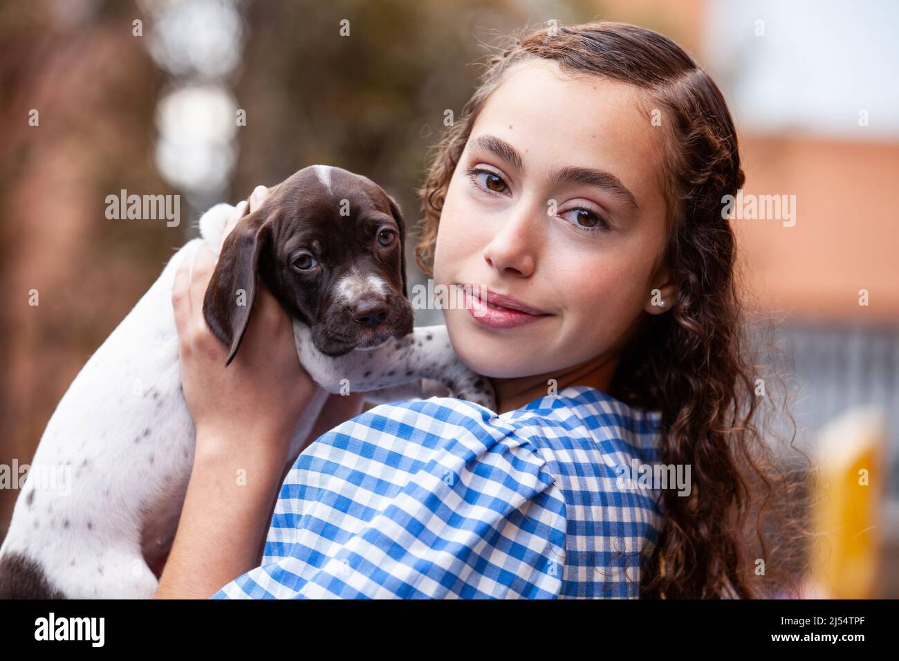 Beautiful young girl having fun with her small French Braque puppy ...