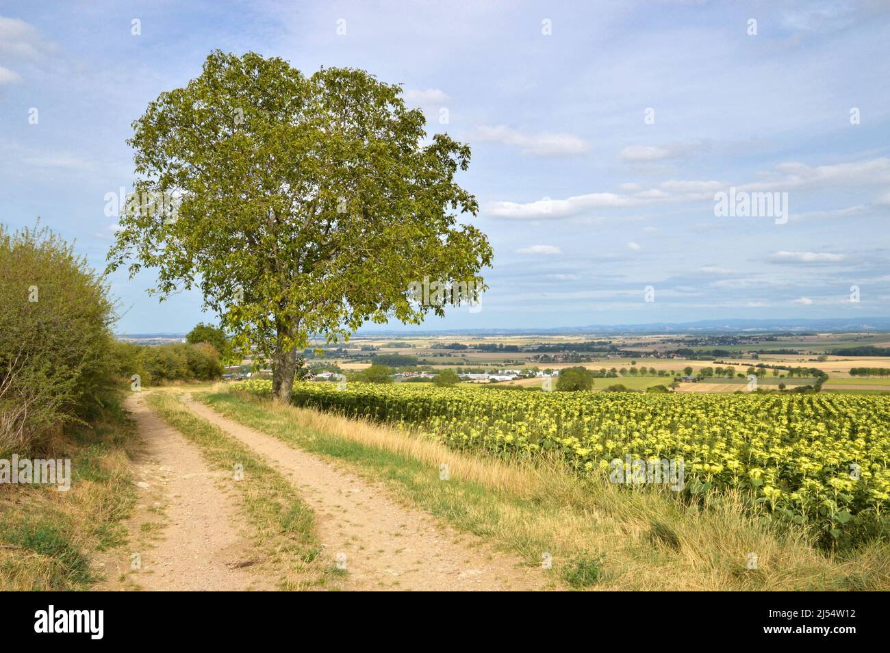Beautiful french countryside landscape during spring with a path with ...