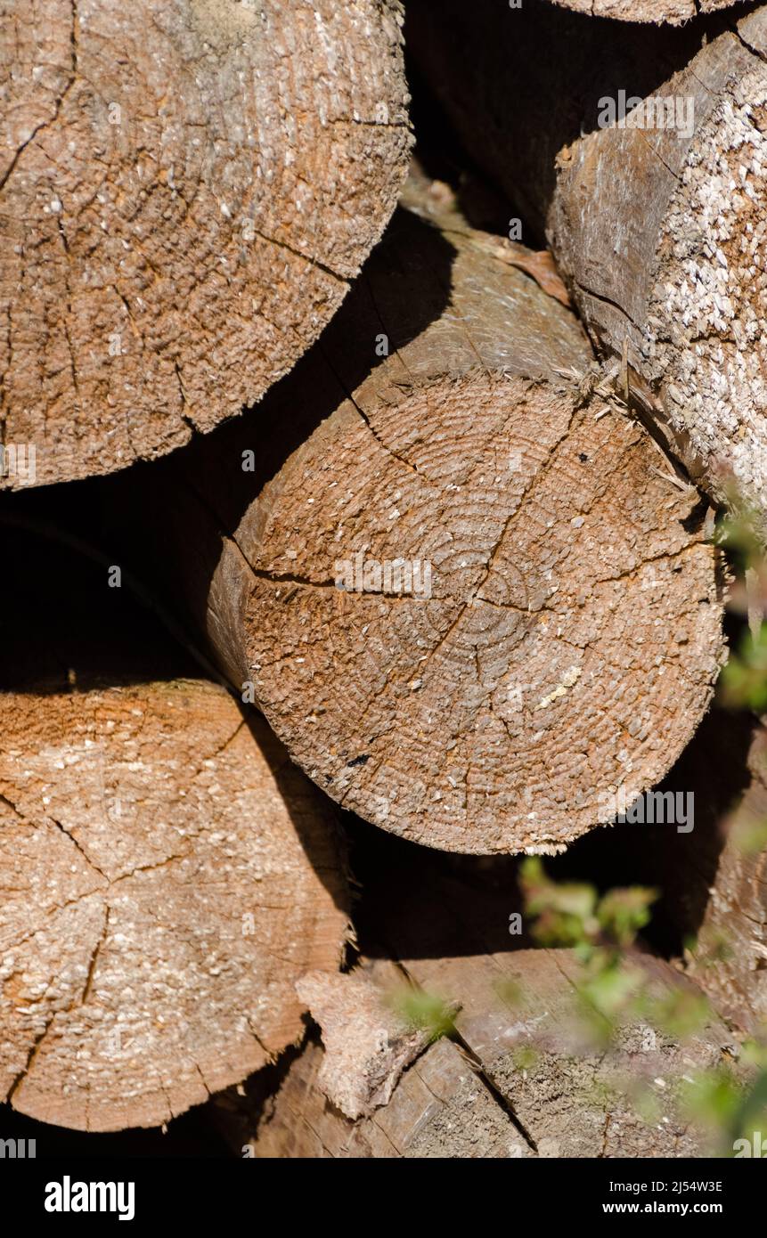 Cross fissures view hi-res stock photography and images - Alamy