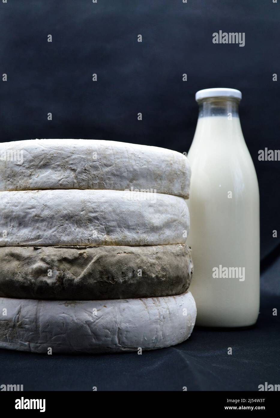 Saint Nectaire cheese. It is an Auvergne cheese and a mountain cheese ...
