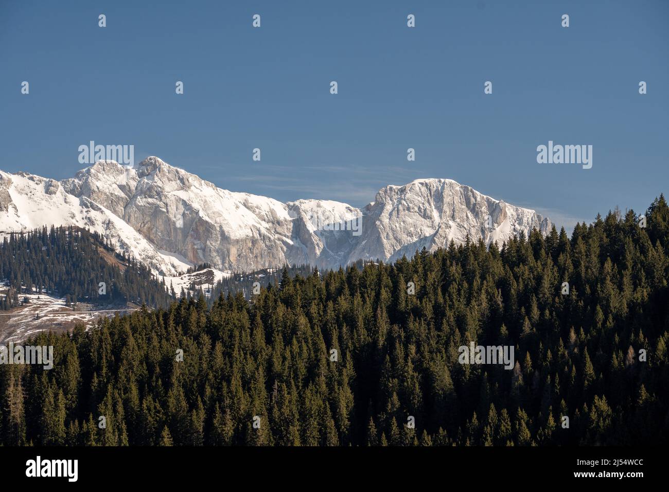 Amazing scenic view ov a spring landscape in the mountains with golden ...