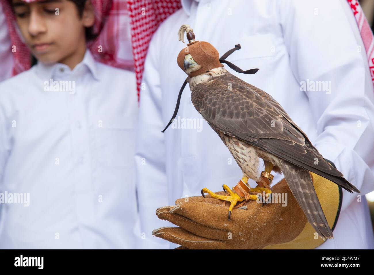 Doha ,Qatar-April 15,2022 : Qatari children with a falcon in the area ...