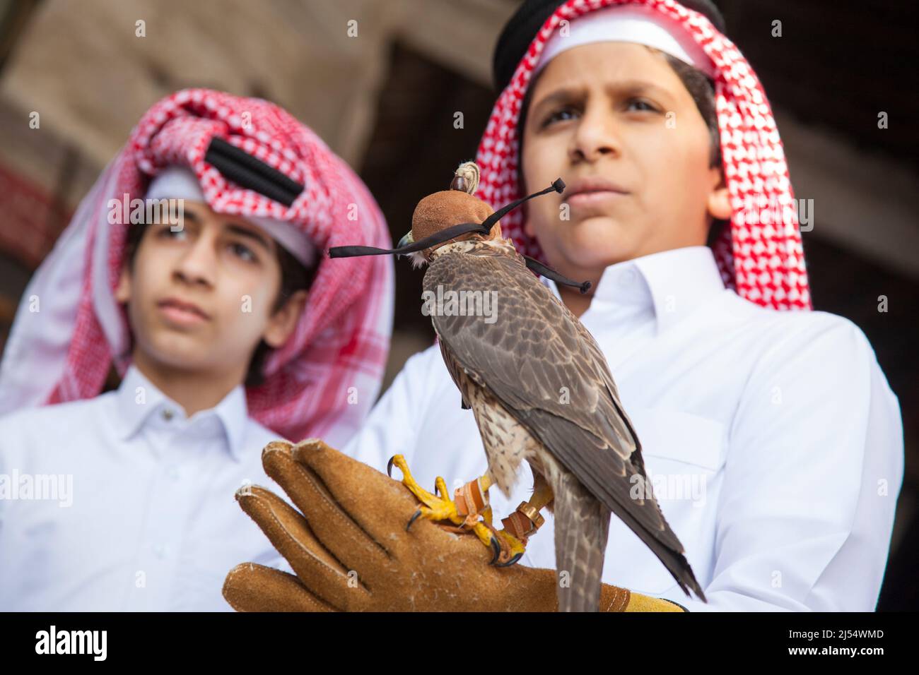Doha ,Qatar-April 15,2022 : Qatari children with a falcon in the area ...